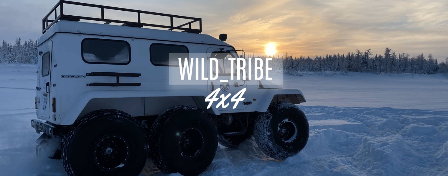 WILD_TRIBE