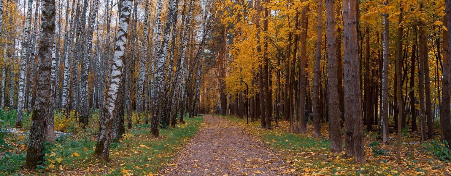 Жемчужина Подмосковья