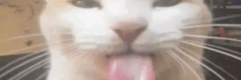 |Ваша мать Мидзуки| |щп|