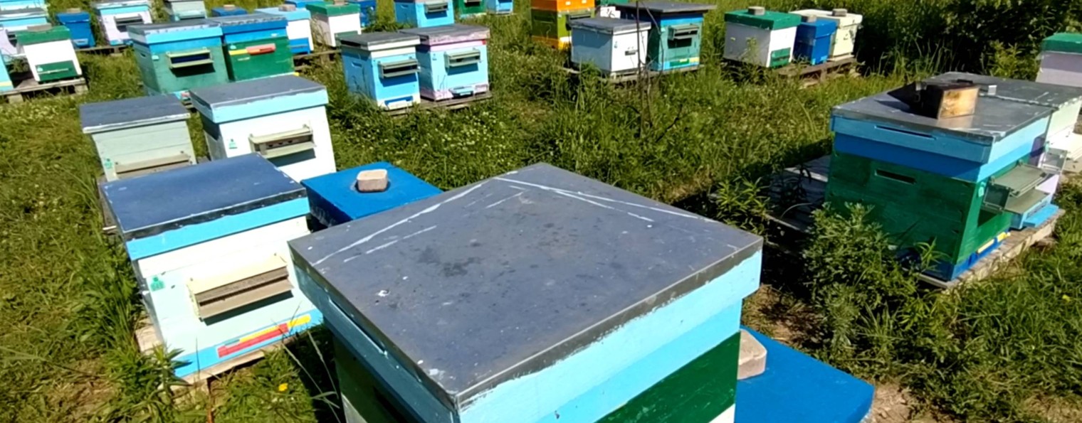 Всё пчеловодство. Переходим в Плейлисты и смотрим