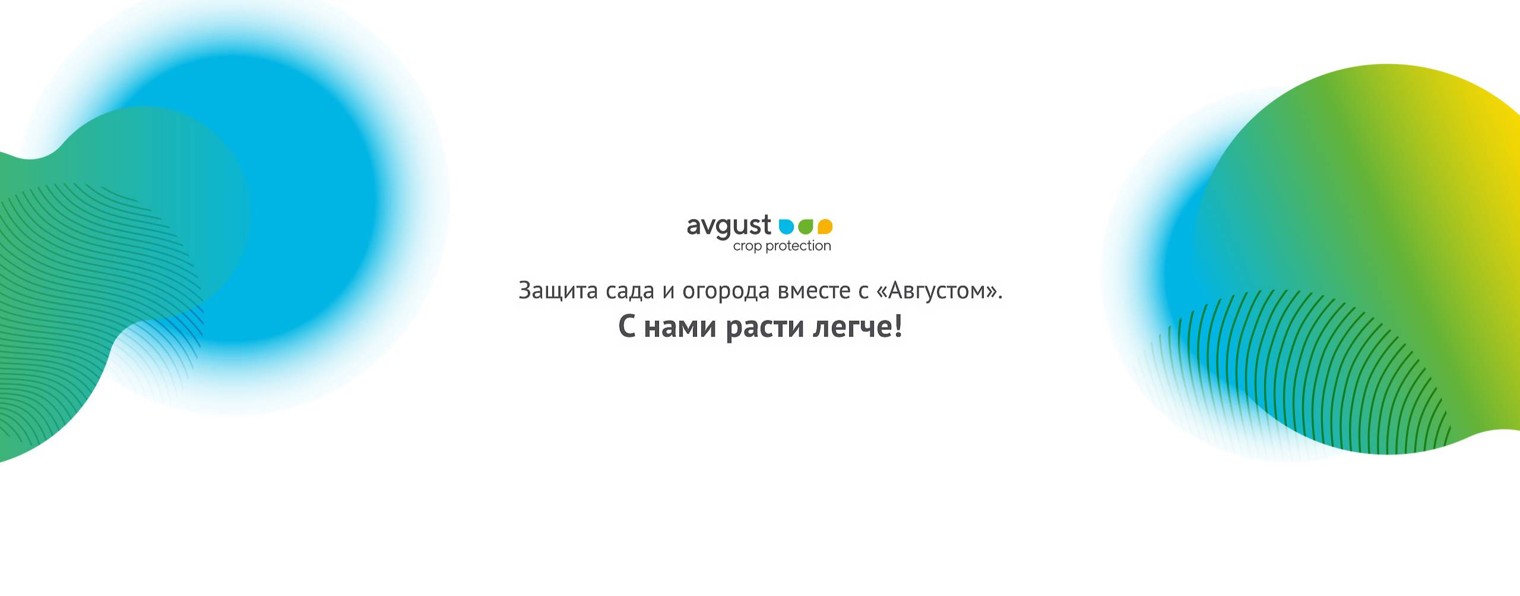 Август для дачников