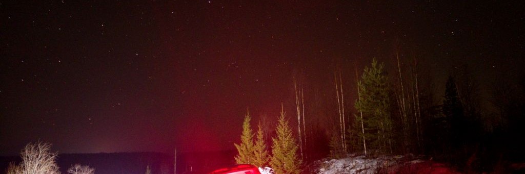 Мишка на Севере