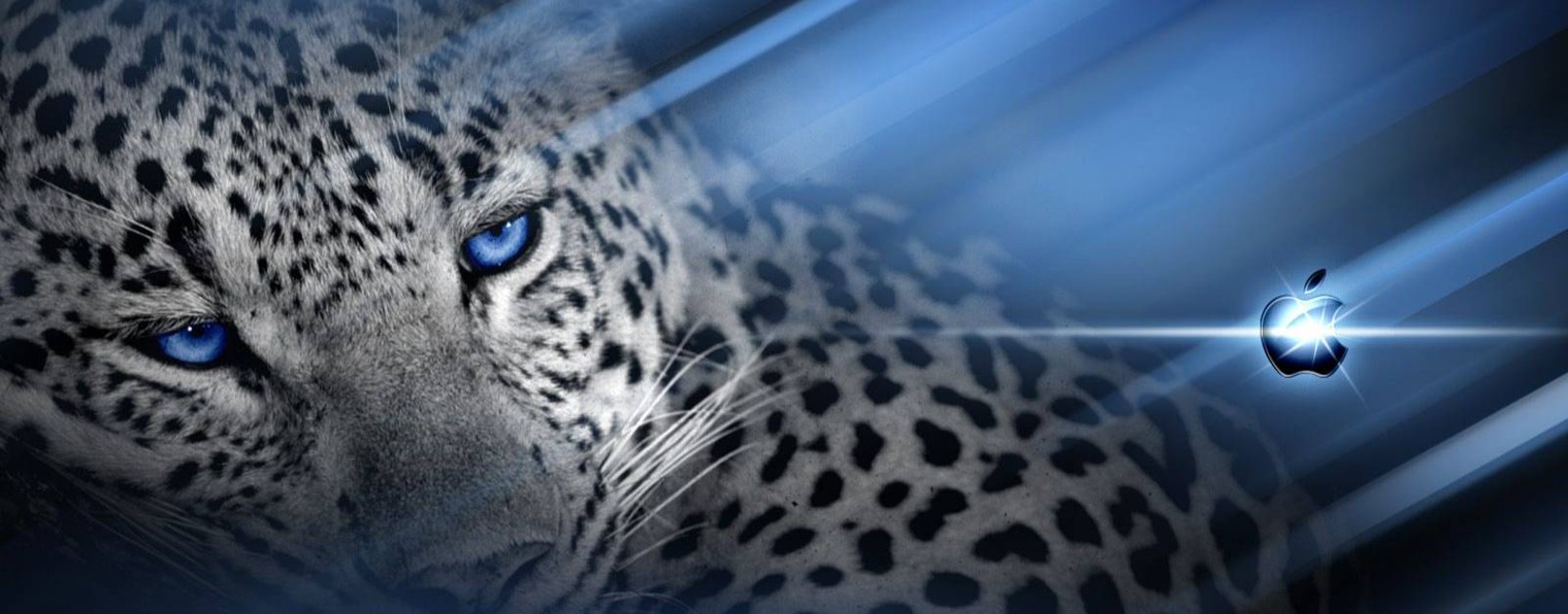 Безумное и любопытное на планете Земля