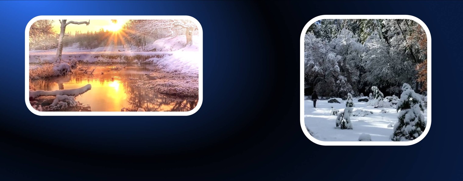 Мгновения в кадре