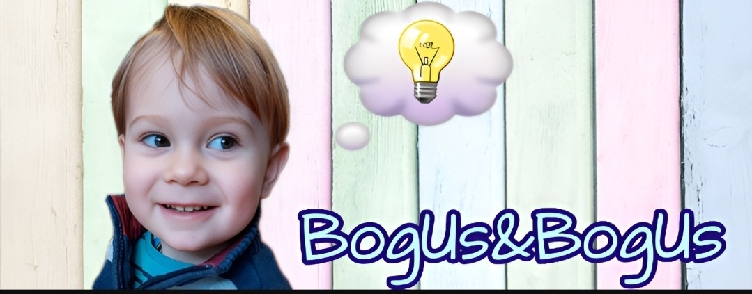 Bogus&Bogus