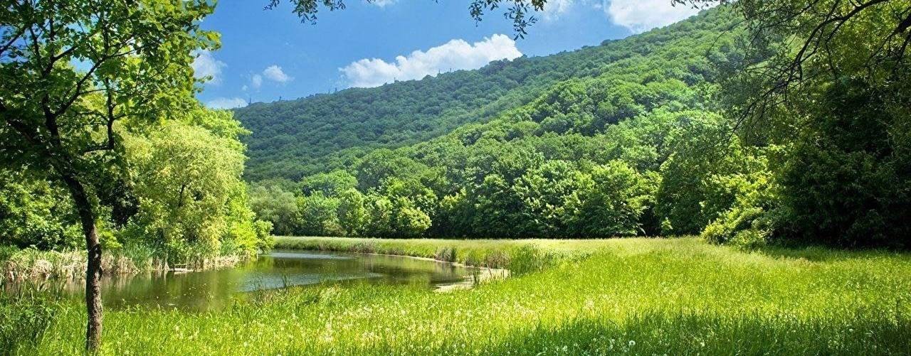 Новоселовы