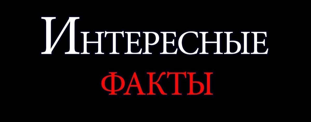 Всё обо всём