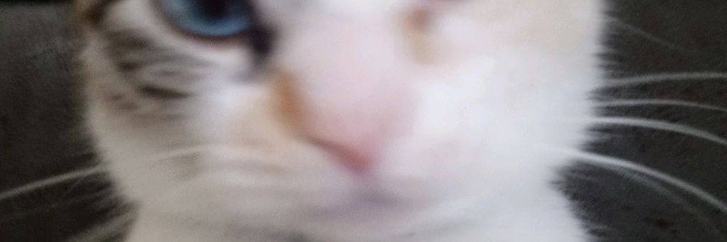 Гипнодесер из 4А