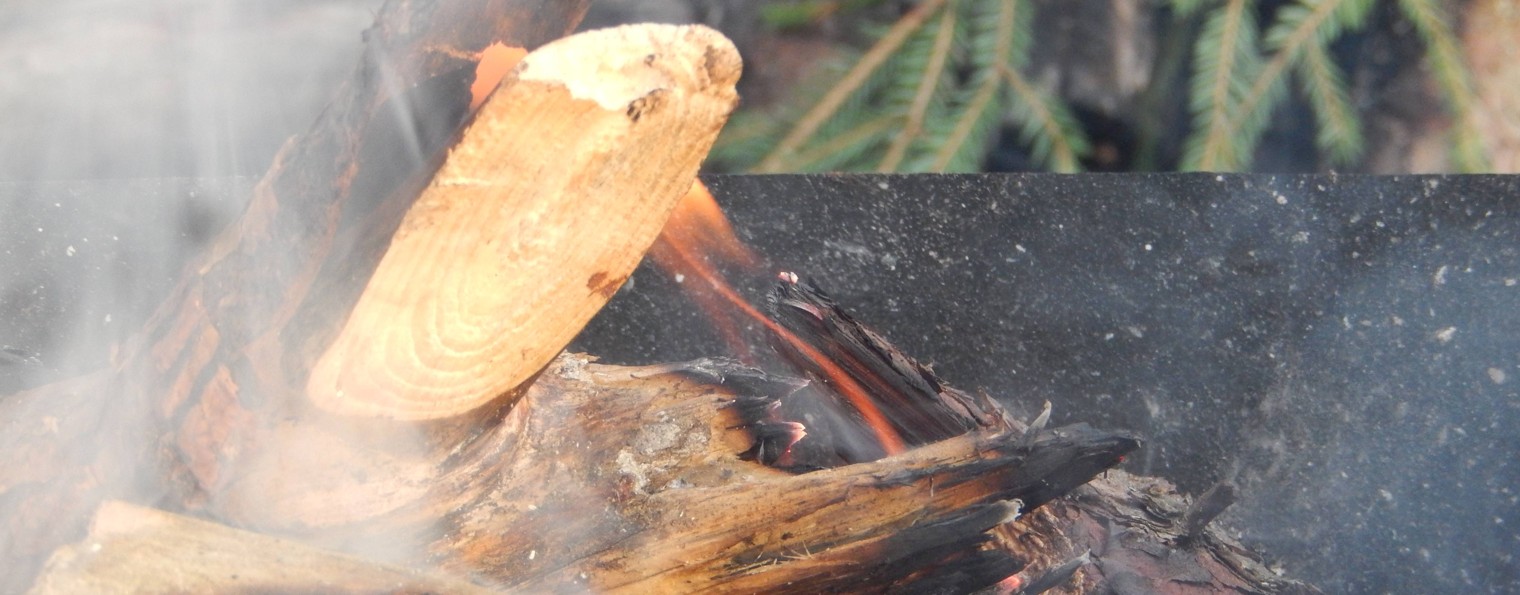 Дмитрий, Жизнь и приключения