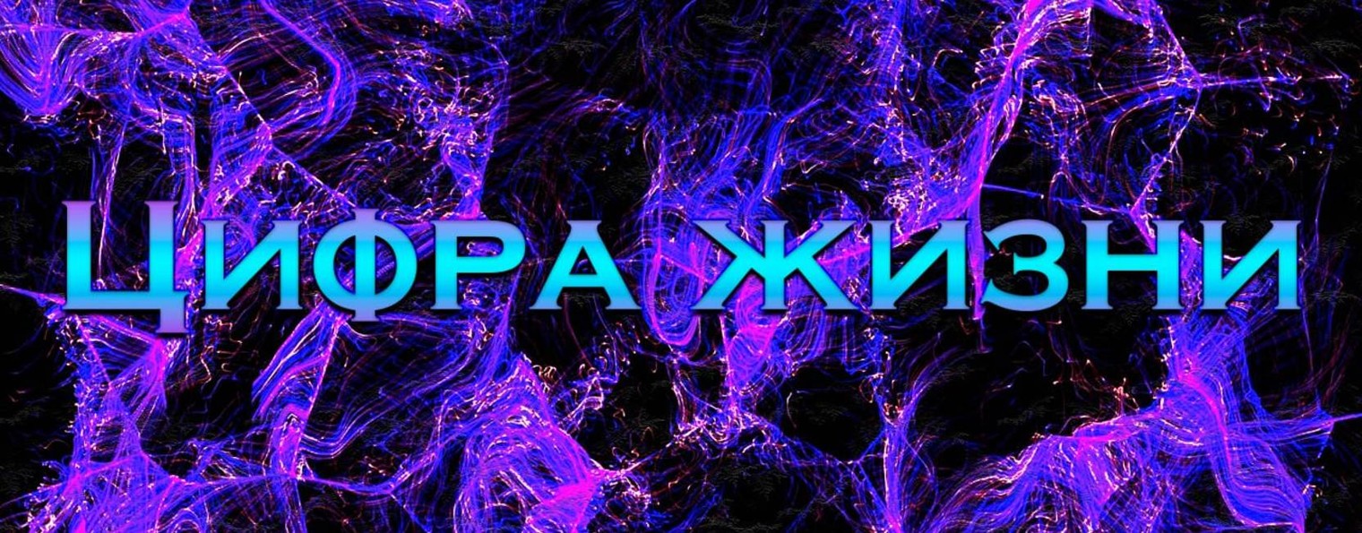 Цифра жизни