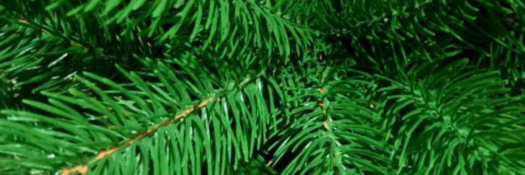 ЗА ГОРОДСКОЙ ЧЕРТОЙ ЛПХ 24