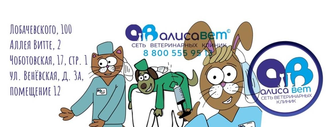 АЛИСАВЕТ - сеть ветеринарных клиник г. Москва