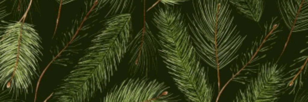 Красный сундук