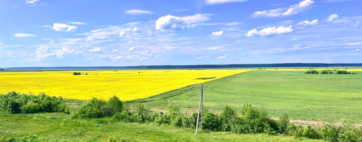 Ярославцев Дмитрий