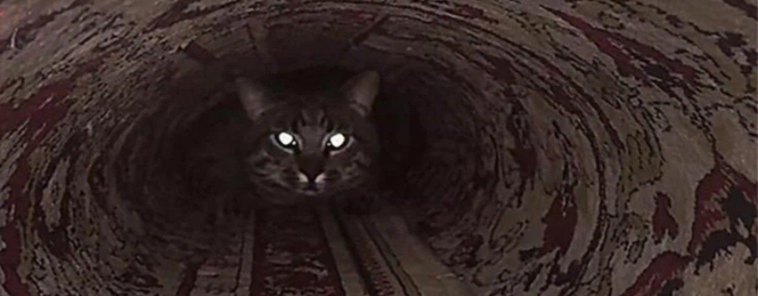 Кирюхич Дешераков