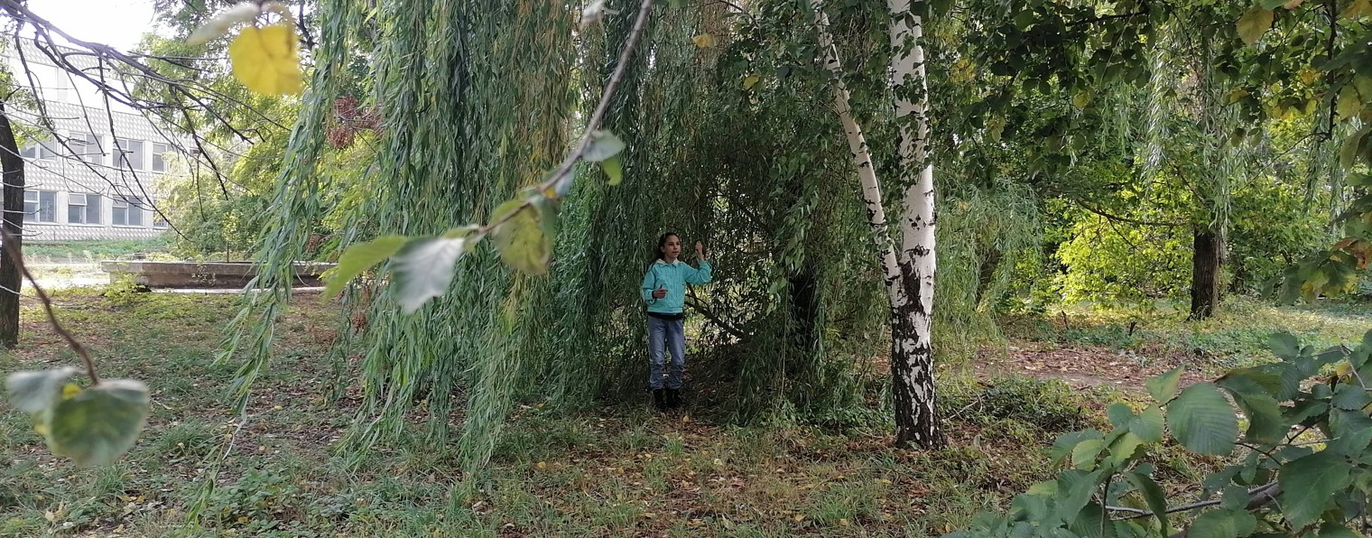 Василий Пономарёв, гаражник