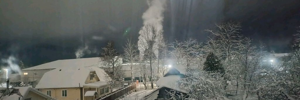 Живые истории