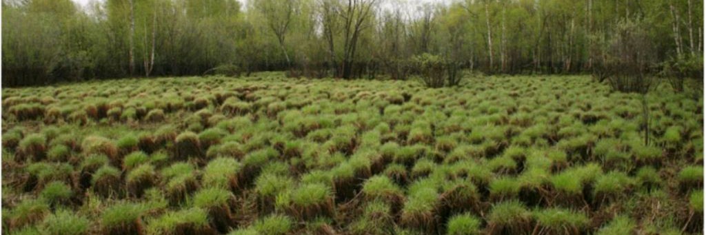 Заброшенный Мир