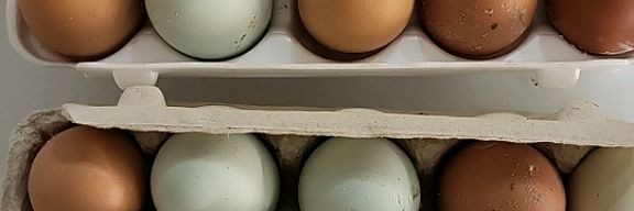 Хозяйство На Удаленке