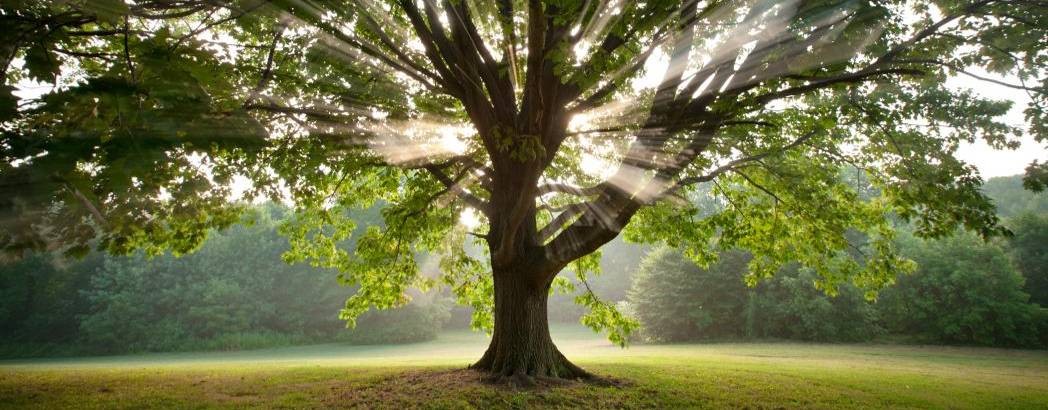 Песни хвалы и поклонения Иисусу