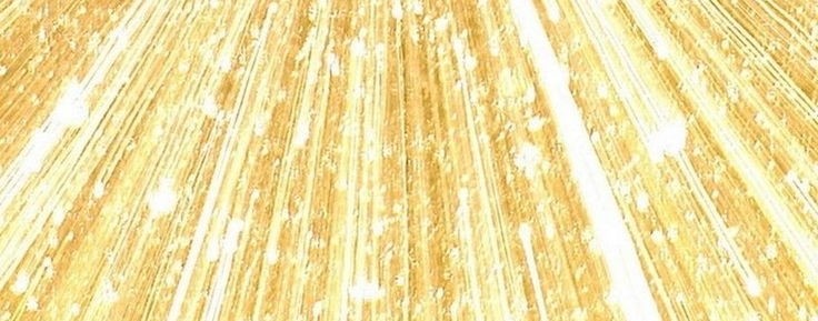 Елена Лахта