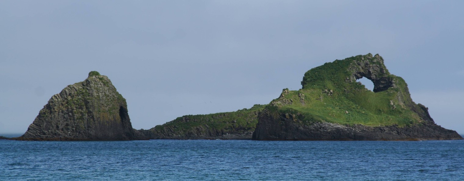 Red Vadick Brilliant Stories Production