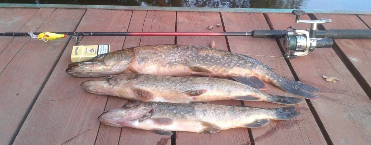 Олег Скобарь