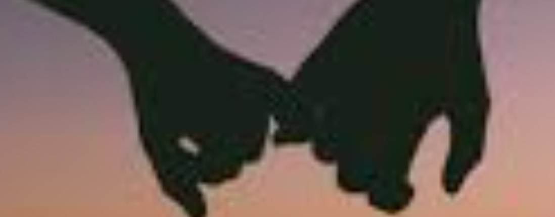 Искренний РОБИН. ZONE #