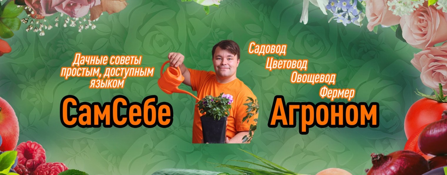 СамСебеАгроном