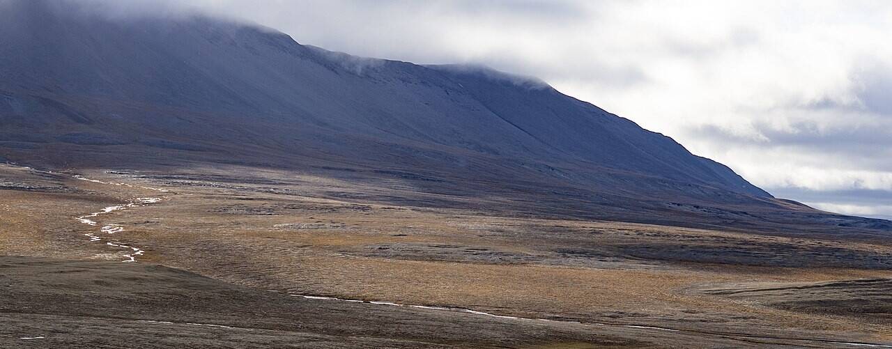 Дозволенные инвестиции