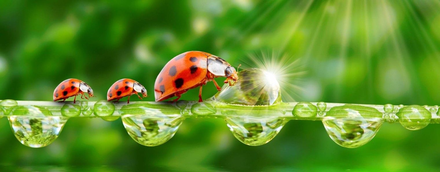 Александр Presents