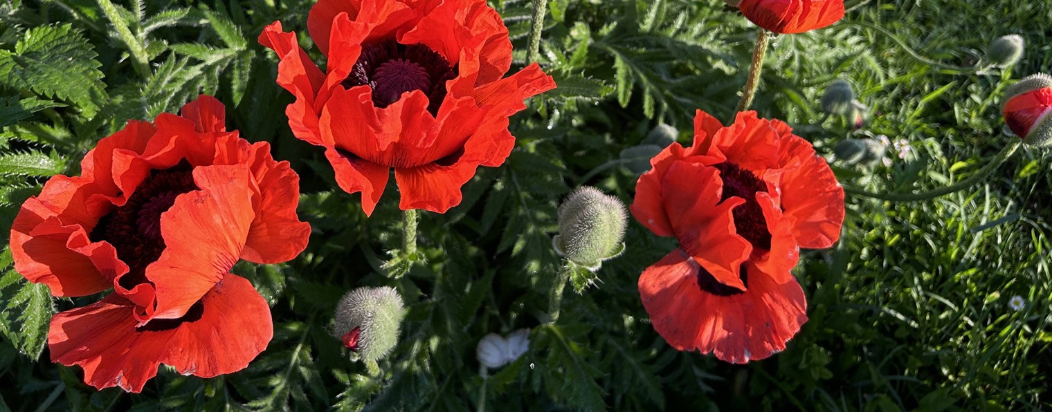 Владимир Гайдук