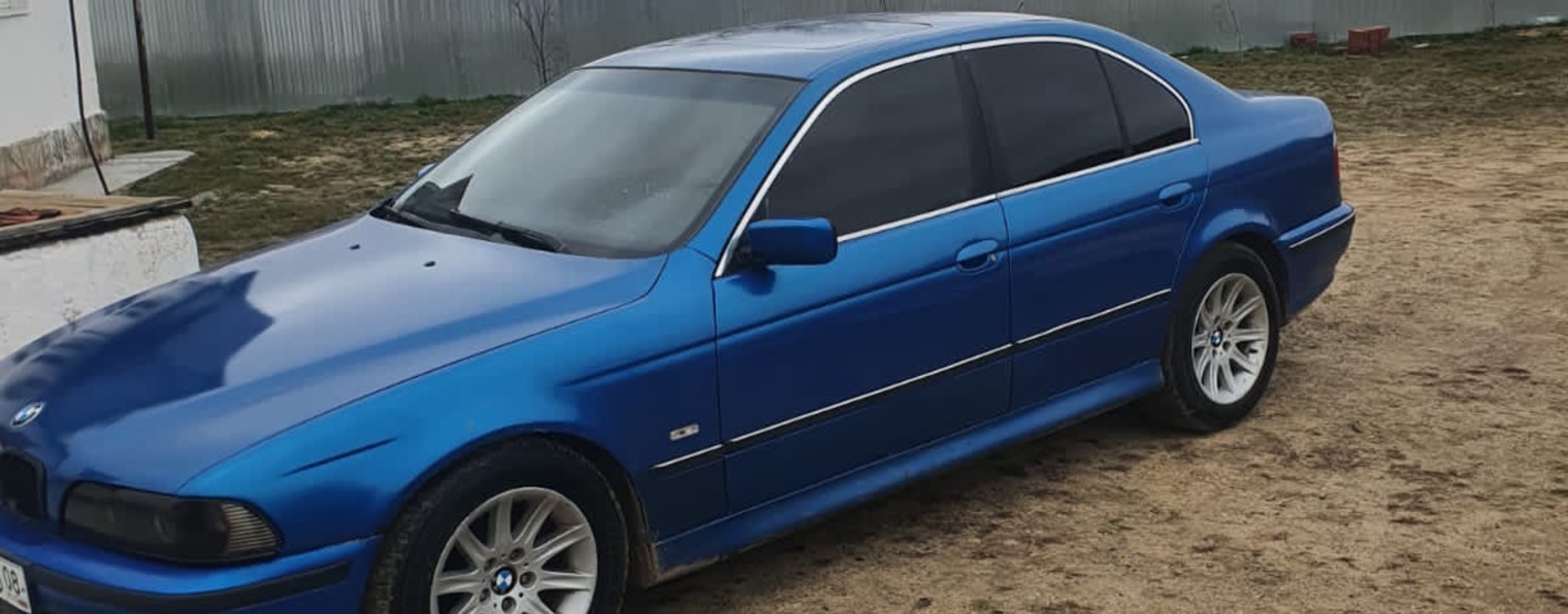 # баварская Ляля BMW