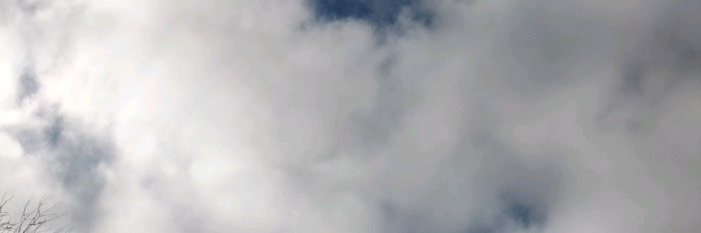 Сельская Жизнь