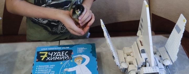 На все руки от скуки с Иваном