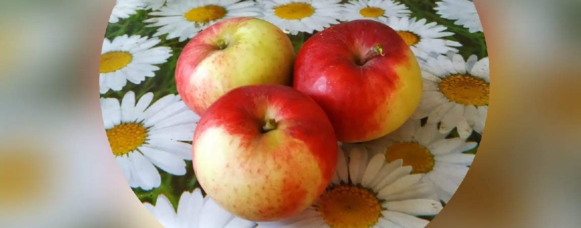 Сад в Подмосковье, Александр