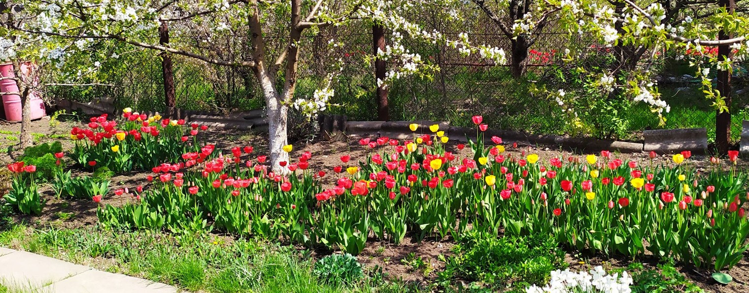 Дачная фазенда