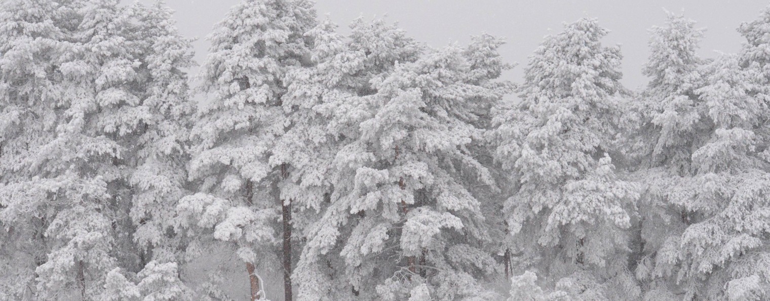 Кавказский Странник