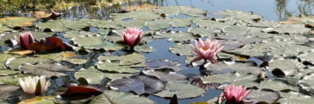 Йога со Светланой Моспановой