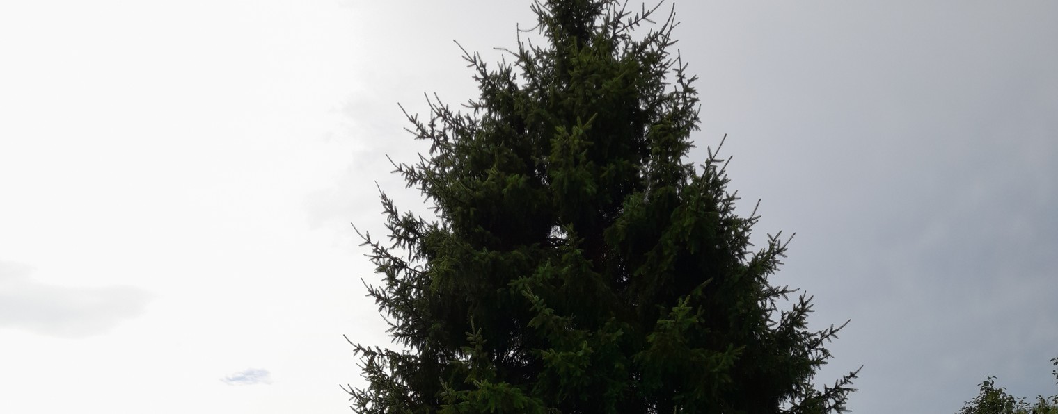 ЖИЗНЬ ХОРОША