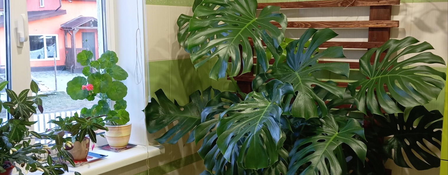 Наталья Кудрявцева