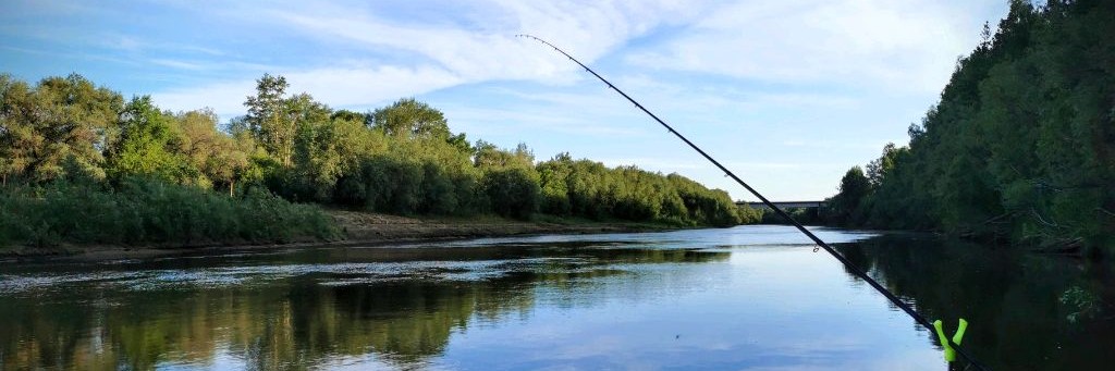 Влад Кузнецов • Рыбалка на фидер
