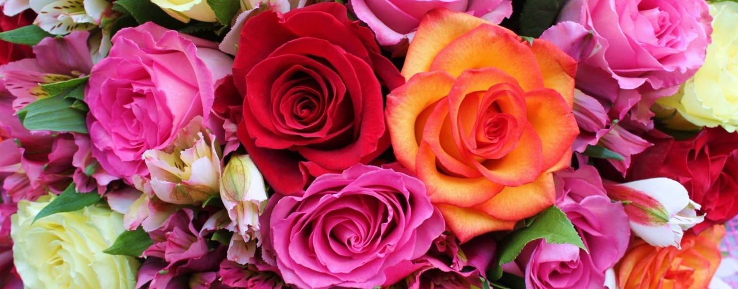 Viva la vida!!! Оригинальные видео открытки!!!