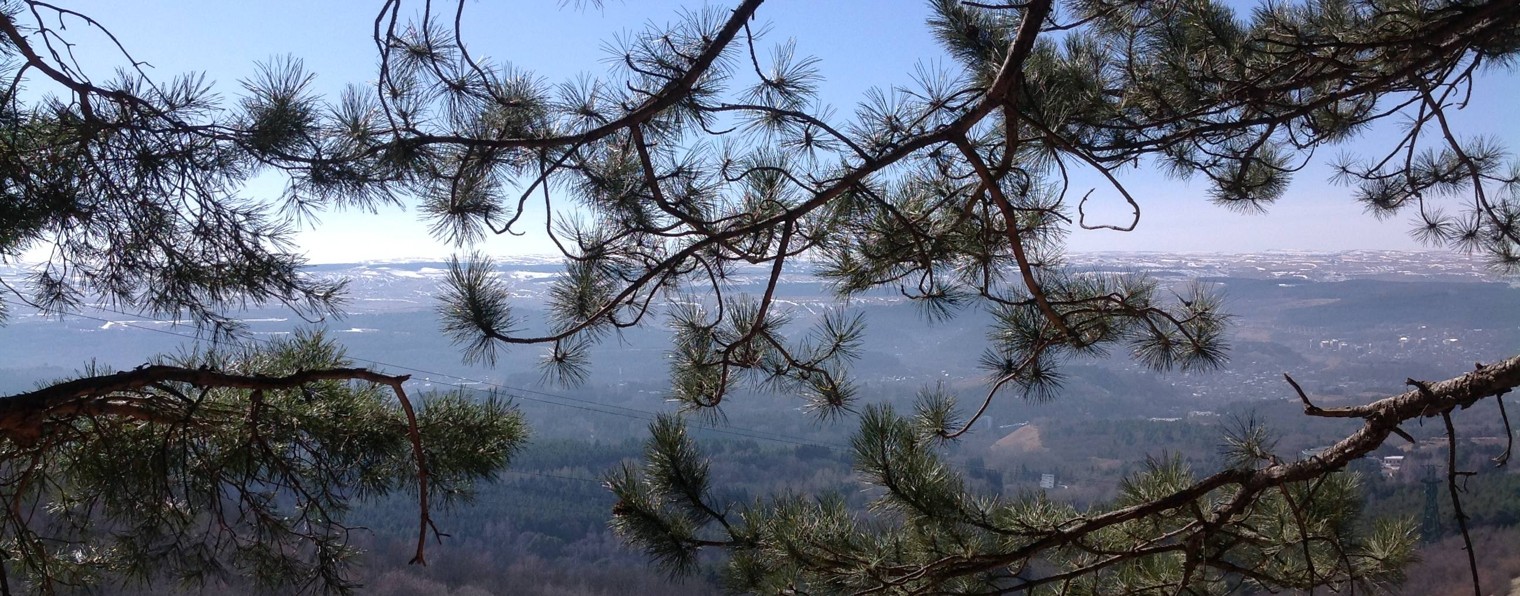 Вокруг Россия