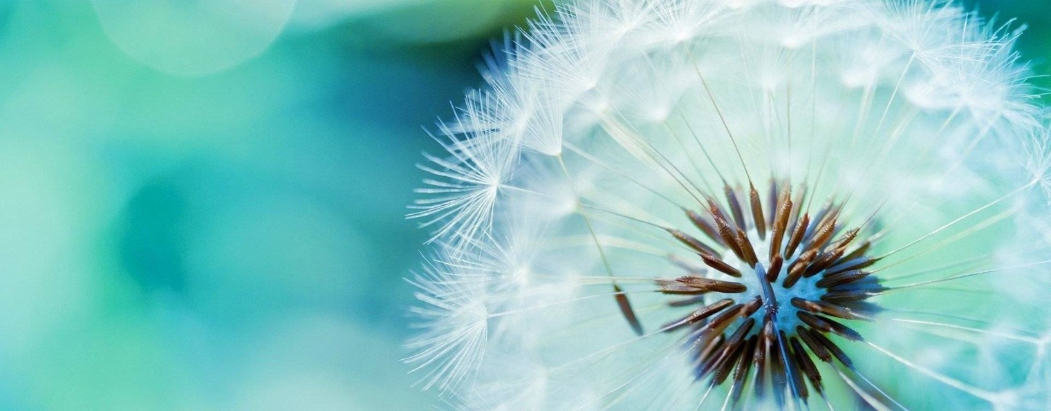 Разные разности жизни