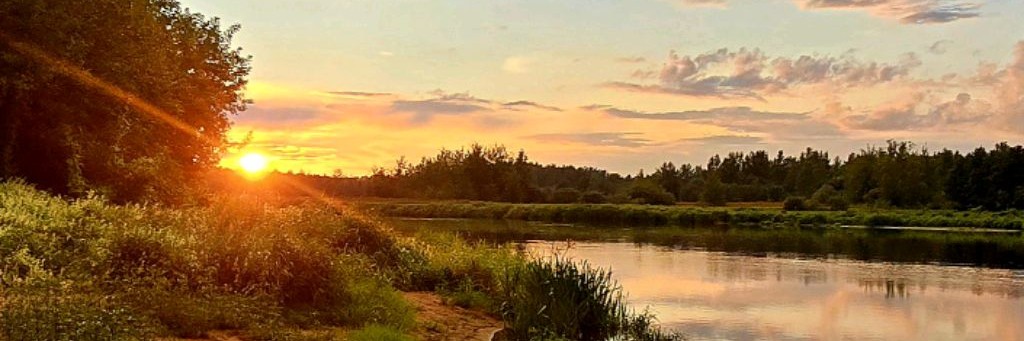 МозгоВедика