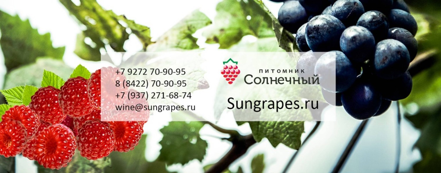 Питомник "Солнечный" Ульяновск