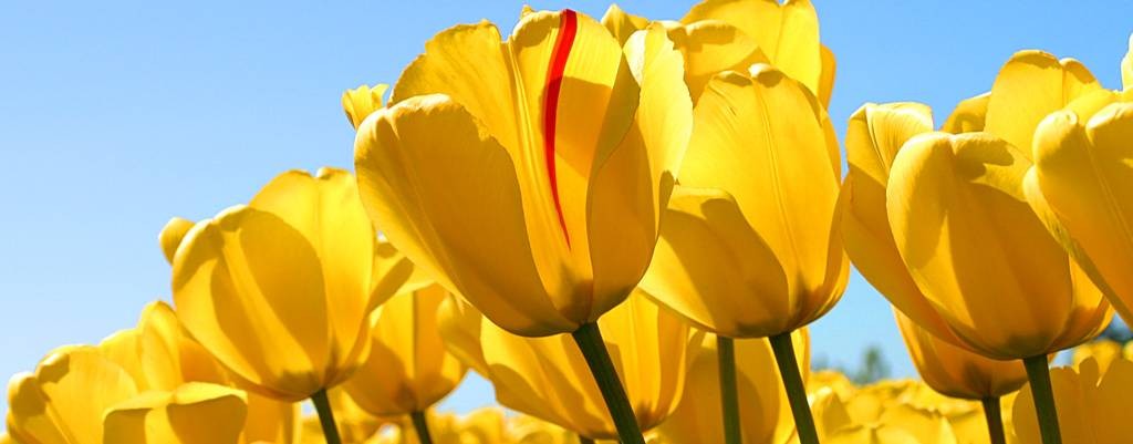 Люк страшилки