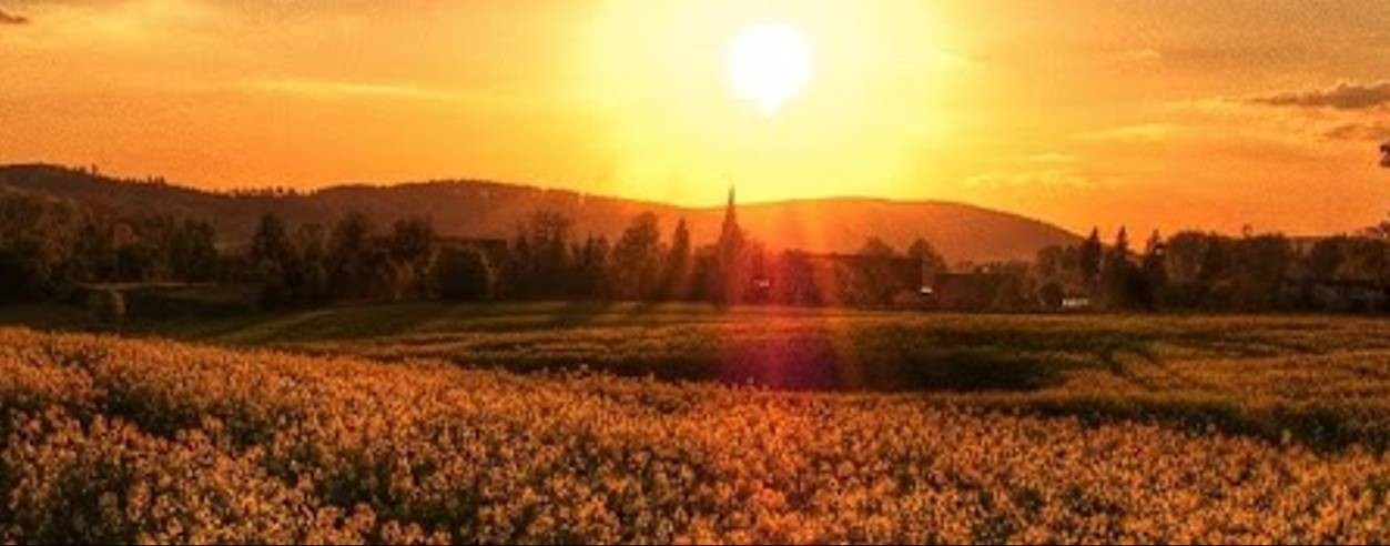 Молодые мы, в золотые дни