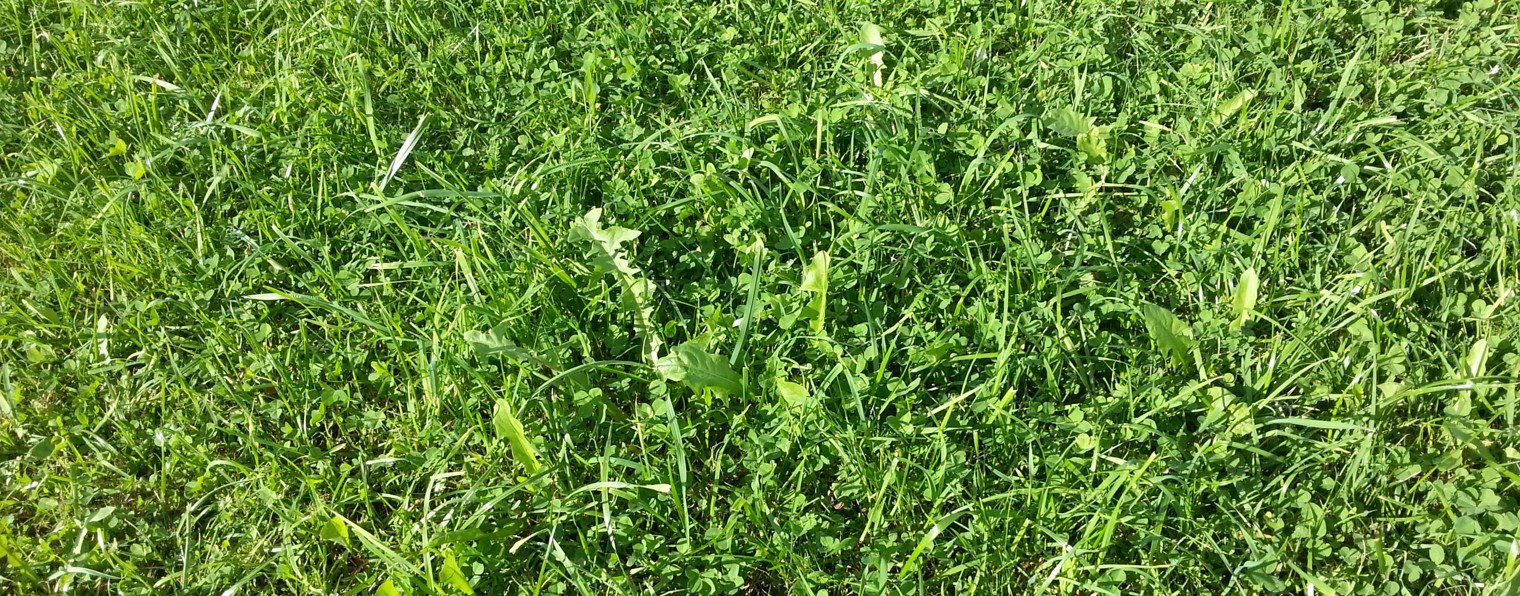 Пристрастный взгляд. Сергей Савинич